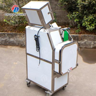 China X Endprodukt Die bevorzugte Option für die Obst- und Gemüseverarbeitungslinie im Jahr 2025 zu verkaufen