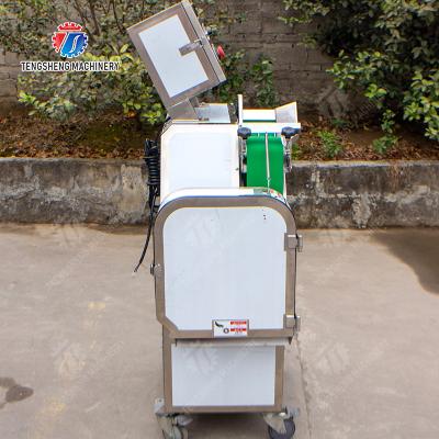 China X Endprodukt Die bevorzugte Option für die Obst- und Gemüseverarbeitungslinie im Jahr 2025 zu verkaufen