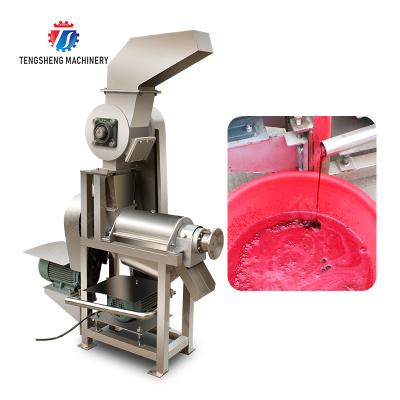 Chine Fruits légumes céleri jus de chou chou jus d'épinards jus de prunes de cerisier sauvage extracteur de jus en spirale à vendre