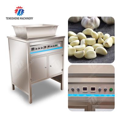 中国 ニンニク加工生産 皮むき機 みじん切りニンニク生産ライン 販売のため