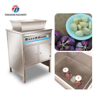 中国 ニンニク加工生産 皮むき機 みじん切りニンニク生産ライン 販売のため