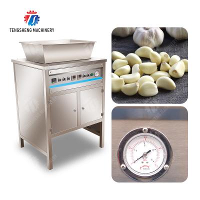 中国 ニンニク加工生産 皮むき機 みじん切りニンニク生産ライン 販売のため