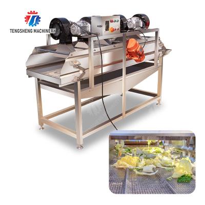 중국 첨단 및 최상위 과일 및 채소 가공 라인 2025 과 과일 및 채소 및 육류에 적용 판매용