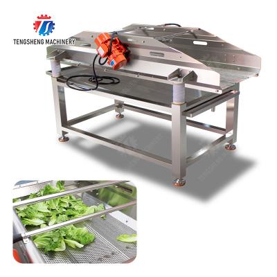 중국 2025년 최종 제품을 위한 최첨단 과일 및 채소 가공 기계 판매용