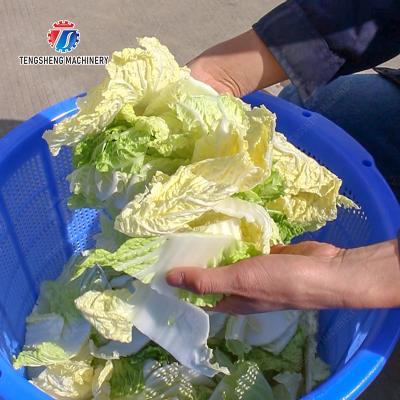 China Onions Greens Lettuce Cao Xin Baby Cabbage Chinese Cabbage Cabbage Spin Dryer Industrial Commercial  Food Dehydrator Dewatering Machine  Centrifugal Dehydration Machine Fruits vegetables dehydrator for sale
