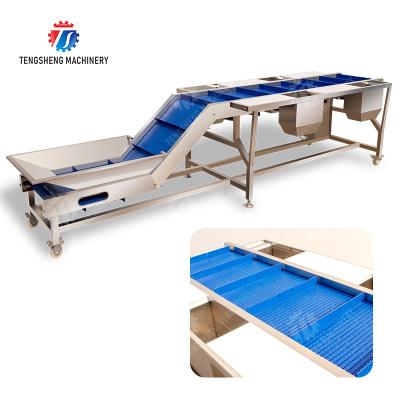 China Hoisting Sorting machine Fruit Orange Vegetable Onions Saiko persimmon horseshoe Apple pineapple Ginger Potato Carrot radish onion okra Shiitake mushrooms Mushrooms Bamboo shoots corn chili kale for sale