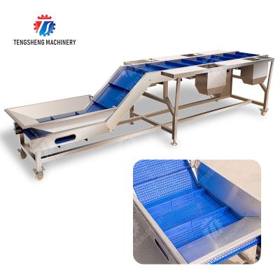 중국 호이싱 정렬 기계 과일 오렌지 채소 양파 사과 배 감 말굽 사과 파인애플 생강 감자 당근 무 양파 오크라 표고버섯 버섯 죽순 옥수수 고추 케일 판매용