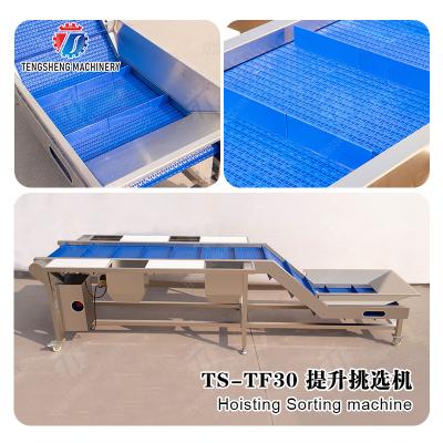 China Hoisting Sorting machine Fruit Orange Vegetable Onions Saiko persimmon horseshoe Apple pineapple Ginger Potato Carrot radish onion okra Shiitake mushrooms Mushrooms Bamboo shoots corn chili kale for sale