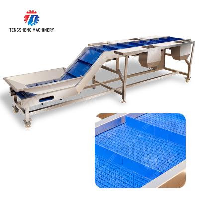 China Hoisting Sorting machine Fruit Orange Vegetable Onions Saiko persimmon horseshoe Apple pineapple Ginger Potato Carrot radish onion okra Shiitake mushrooms Mushrooms Bamboo shoots corn chili kale for sale