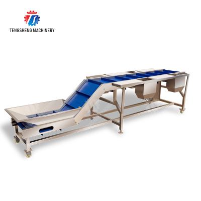 China Hoisting Sorting machine Fruit Orange Vegetable Onions Saiko persimmon horseshoe Apple pineapple Ginger Potato Carrot radish onion okra Shiitake mushrooms Mushrooms Bamboo shoots corn chili kale for sale