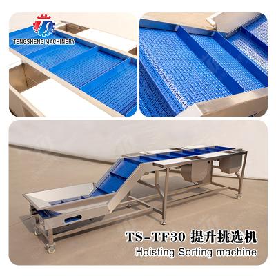 China Hoisting Sorting machine Fruit Orange Vegetable Onions Saiko persimmon horseshoe Apple pineapple Ginger Potato Carrot radish onion okra Shiitake mushrooms Mushrooms Bamboo shoots corn chili kale for sale