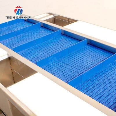 China Hoisting Sorting machine Fruit Orange Vegetable Onions Saiko persimmon horseshoe Apple pineapple Ginger Potato Carrot radish onion okra Shiitake mushrooms Mushrooms Bamboo shoots corn chili kale for sale