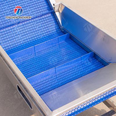 China Hoisting Sorting machine Fruit Orange Vegetable Onions Saiko persimmon horseshoe Apple pineapple Ginger Potato Carrot radish onion okra Shiitake mushrooms Mushrooms Bamboo shoots corn chili kale for sale