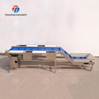 China Hoisting Sorting machine Fruit Orange Vegetable Onions Saiko persimmon horseshoe Apple pineapple Ginger Potato Carrot radish onion okra Shiitake mushrooms Mushrooms Bamboo shoots corn chili kale for sale