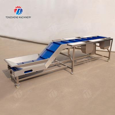 China Hoisting Sorting machine Fruit Orange Vegetable Onions Saiko persimmon horseshoe Apple pineapple Ginger Potato Carrot radish onion okra Shiitake mushrooms Mushrooms Bamboo shoots corn chili kale for sale