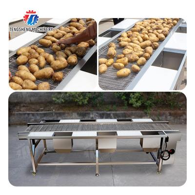 China Potato Selection Table Ginger Carrot radish Celery kale lemon Saiko persimmon Fruit Orange Vegetable for sale