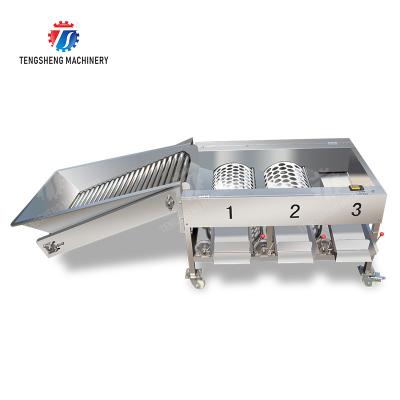 Cina Macchina per la selezione di frutta e verdura: mela, frutto della passione, avocado, ciliegia, mango, pera, banana, mangostano, kiwi, arancia, verdura, lattuga, cavolo, sedano, cavolo riccio. Classificazione in vendita