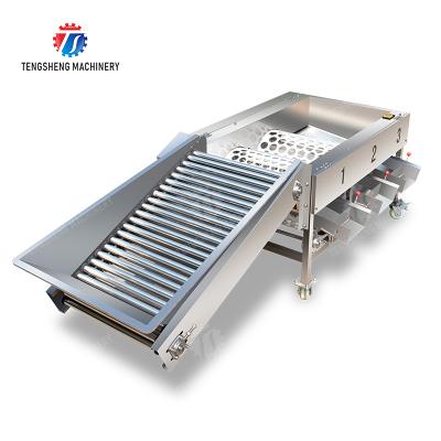 Cina Macchina per la selezione di frutta e verdura: mela, frutto della passione, avocado, ciliegia, mango, pera, banana, mangostano, kiwi, arancia, verdura, lattuga, cavolo, sedano, cavolo riccio. Classificazione in vendita