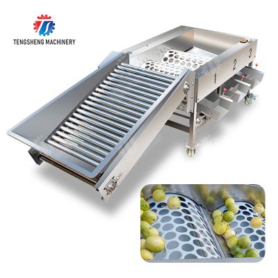 China Apple Passion Fruit and vegetable sorting machine tangerine passion fruit avocado cherry Mango pear banana mangosteen kiwi fruit Fruit Orange Vegetable Lettuce Cabbage Celery kale Grading for sale