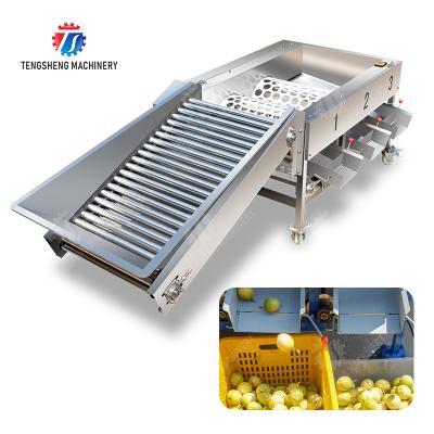 Cina Macchina per la selezione di frutta e verdura: mela, frutto della passione, avocado, ciliegia, mango, pera, banana, mangostano, kiwi, arancia, verdura, lattuga, cavolo, sedano, cavolo riccio. Classificazione in vendita