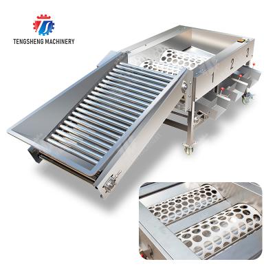 Cina Macchina per la selezione di frutta e verdura: mela, frutto della passione, avocado, ciliegia, mango, pera, banana, mangostano, kiwi, arancia, verdura, lattuga, cavolo, sedano, cavolo riccio. Classificazione in vendita