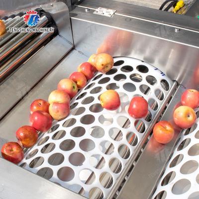 Cina Macchina per la selezione di frutta e verdura: mela, frutto della passione, avocado, ciliegia, mango, pera, banana, mangostano, kiwi, arancia, verdura, lattuga, cavolo, sedano, cavolo riccio. Classificazione in vendita