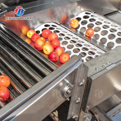 Cina Macchina per la selezione di frutta e verdura: mela, frutto della passione, avocado, ciliegia, mango, pera, banana, mangostano, kiwi, arancia, verdura, lattuga, cavolo, sedano, cavolo riccio. Classificazione in vendita