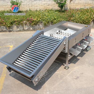 Cina Macchina per la selezione di frutta e verdura: mela, frutto della passione, avocado, ciliegia, mango, pera, banana, mangostano, kiwi, arancia, verdura, lattuga, cavolo, sedano, cavolo riccio. Classificazione in vendita