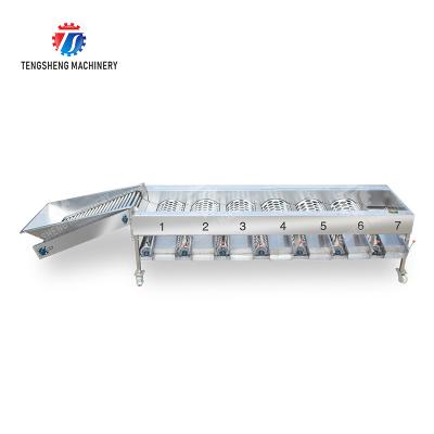 Cina Produzione di trasformazione Ispezione di classificazione Frutta Vegetale Cipolle Saiko Persimmone Mela Patata Mandarine Passione Frutta Avocado ciliegie Mango Pira Banana Mangostano Kiwi Frutta Sorting Machine in vendita