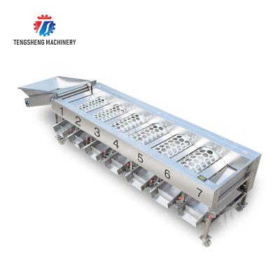 Cina Produzione di trasformazione Ispezione di classificazione Frutta Vegetale Cipolle Saiko Persimmone Mela Patata Mandarine Passione Frutta Avocado ciliegie Mango Pira Banana Mangostano Kiwi Frutta Sorting Machine in vendita