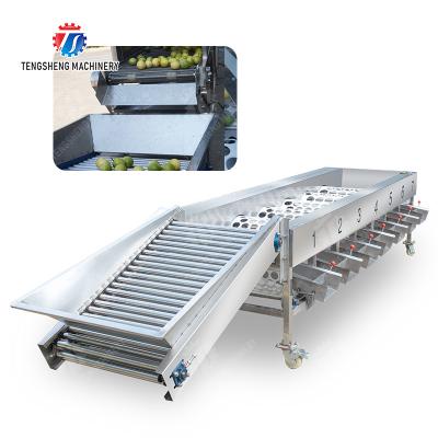 Cina Produzione di trasformazione Ispezione di classificazione Frutta Vegetale Cipolle Saiko Persimmone Mela Patata Mandarine Passione Frutta Avocado ciliegie Mango Pira Banana Mangostano Kiwi Frutta Sorting Machine in vendita