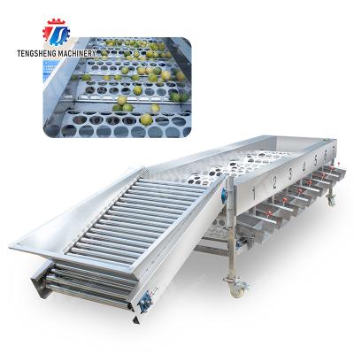 Cina Produzione di trasformazione Ispezione di classificazione Frutta Vegetale Cipolle Saiko Persimmone Mela Patata Mandarine Passione Frutta Avocado ciliegie Mango Pira Banana Mangostano Kiwi Frutta Sorting Machine in vendita