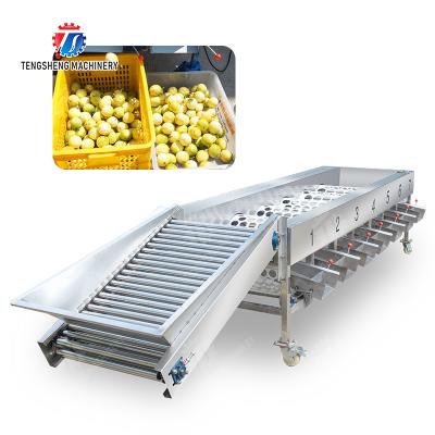 Cina Produzione di trasformazione Ispezione di classificazione Frutta Vegetale Cipolle Saiko Persimmone Mela Patata Mandarine Passione Frutta Avocado ciliegie Mango Pira Banana Mangostano Kiwi Frutta Sorting Machine in vendita
