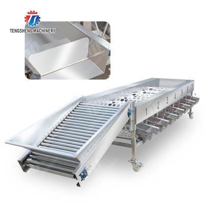 Cina Produzione di trasformazione Ispezione di classificazione Frutta Vegetale Cipolle Saiko Persimmone Mela Patata Mandarine Passione Frutta Avocado ciliegie Mango Pira Banana Mangostano Kiwi Frutta Sorting Machine in vendita