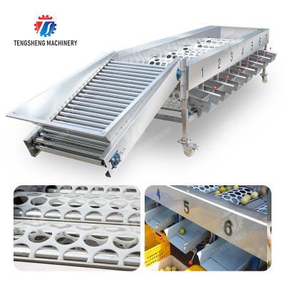 Cina Produzione di trasformazione Ispezione di classificazione Frutta Vegetale Cipolle Saiko Persimmone Mela Patata Mandarine Passione Frutta Avocado ciliegie Mango Pira Banana Mangostano Kiwi Frutta Sorting Machine in vendita