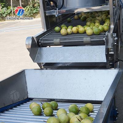 Cina Produzione di trasformazione Ispezione di classificazione Frutta Vegetale Cipolle Saiko Persimmone Mela Patata Mandarine Passione Frutta Avocado ciliegie Mango Pira Banana Mangostano Kiwi Frutta Sorting Machine in vendita