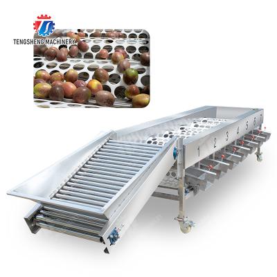 Cina Produzione di trasformazione Ispezione di classificazione Frutta Vegetale Cipolle Saiko Persimmone Mela Patata Mandarine Passione Frutta Avocado ciliegie Mango Pira Banana Mangostano Kiwi Frutta Sorting Machine in vendita