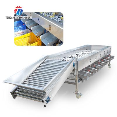Cina Produzione di trasformazione Ispezione di classificazione Frutta Vegetale Cipolle Saiko Persimmone Mela Patata Mandarine Passione Frutta Avocado ciliegie Mango Pira Banana Mangostano Kiwi Frutta Sorting Machine in vendita