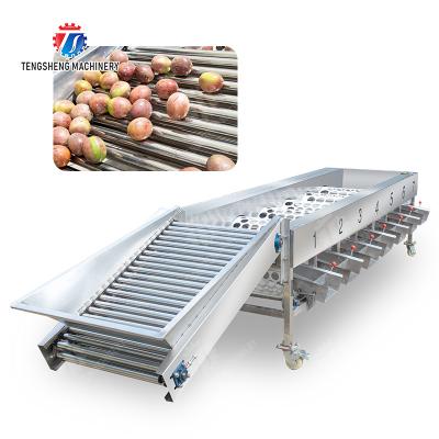 Cina Produzione di trasformazione Ispezione di classificazione Frutta Vegetale Cipolle Saiko Persimmone Mela Patata Mandarine Passione Frutta Avocado ciliegie Mango Pira Banana Mangostano Kiwi Frutta Sorting Machine in vendita