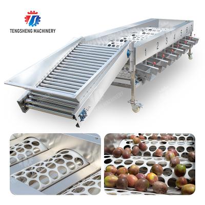 중국 생산 처리 검사 등급 과일 채소 양파 사이코 감 사과 감자 귤 패션프루트 아보카도 체리 망고 배 바나나 망고스틴 키위 과일 선별기 판매용