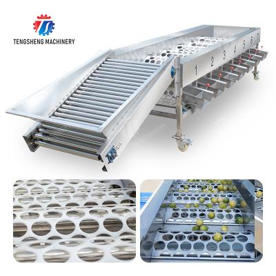 Cina Produzione di trasformazione Ispezione di classificazione Frutta Vegetale Cipolle Saiko Persimmone Mela Patata Mandarine Passione Frutta Avocado ciliegie Mango Pira Banana Mangostano Kiwi Frutta Sorting Machine in vendita