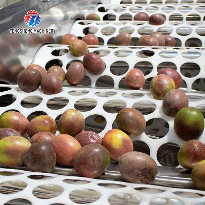 Cina Produzione di trasformazione Ispezione di classificazione Frutta Vegetale Cipolle Saiko Persimmone Mela Patata Mandarine Passione Frutta Avocado ciliegie Mango Pira Banana Mangostano Kiwi Frutta Sorting Machine in vendita