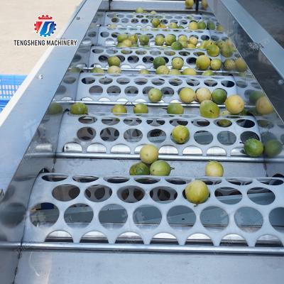 Cina Produzione di trasformazione Ispezione di classificazione Frutta Vegetale Cipolle Saiko Persimmone Mela Patata Mandarine Passione Frutta Avocado ciliegie Mango Pira Banana Mangostano Kiwi Frutta Sorting Machine in vendita
