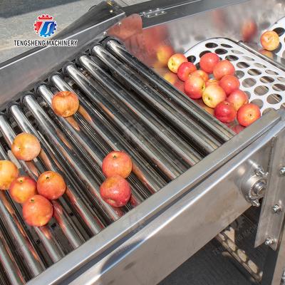 Cina Produzione di trasformazione Ispezione di classificazione Frutta Vegetale Cipolle Saiko Persimmone Mela Patata Mandarine Passione Frutta Avocado ciliegie Mango Pira Banana Mangostano Kiwi Frutta Sorting Machine in vendita