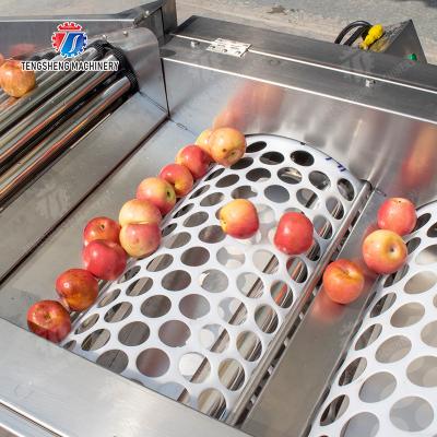 Cina Produzione di trasformazione Ispezione di classificazione Frutta Vegetale Cipolle Saiko Persimmone Mela Patata Mandarine Passione Frutta Avocado ciliegie Mango Pira Banana Mangostano Kiwi Frutta Sorting Machine in vendita