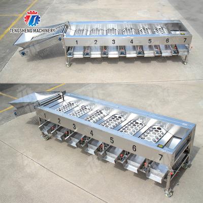 Cina Produzione di trasformazione Ispezione di classificazione Frutta Vegetale Cipolle Saiko Persimmone Mela Patata Mandarine Passione Frutta Avocado ciliegie Mango Pira Banana Mangostano Kiwi Frutta Sorting Machine in vendita