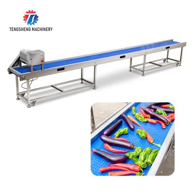 중국 과일 채소 잔디 콩 콩류 녹두 병아리콩 콩 팥 녹두 완두콩 콩 사이고 감 포테이토 당근 무 양파 고추 가지 컨베이어 테이블 판매용