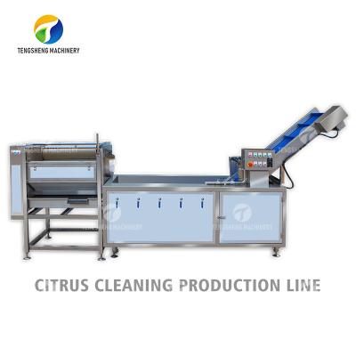 China Dust Scrub Sortment Fruit Production Line Bubble Controlling Pineapple Vegetable Cleaning for sale