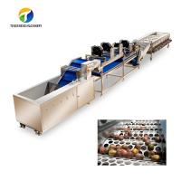 China Drying Sorting Circulating Surfing Fruit And Vegetable Processing Line Apple Tengsheng for sale