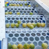 China Drying Sorting Circulating Surfing Fruit And Vegetable Processing Line Apple Tengsheng for sale